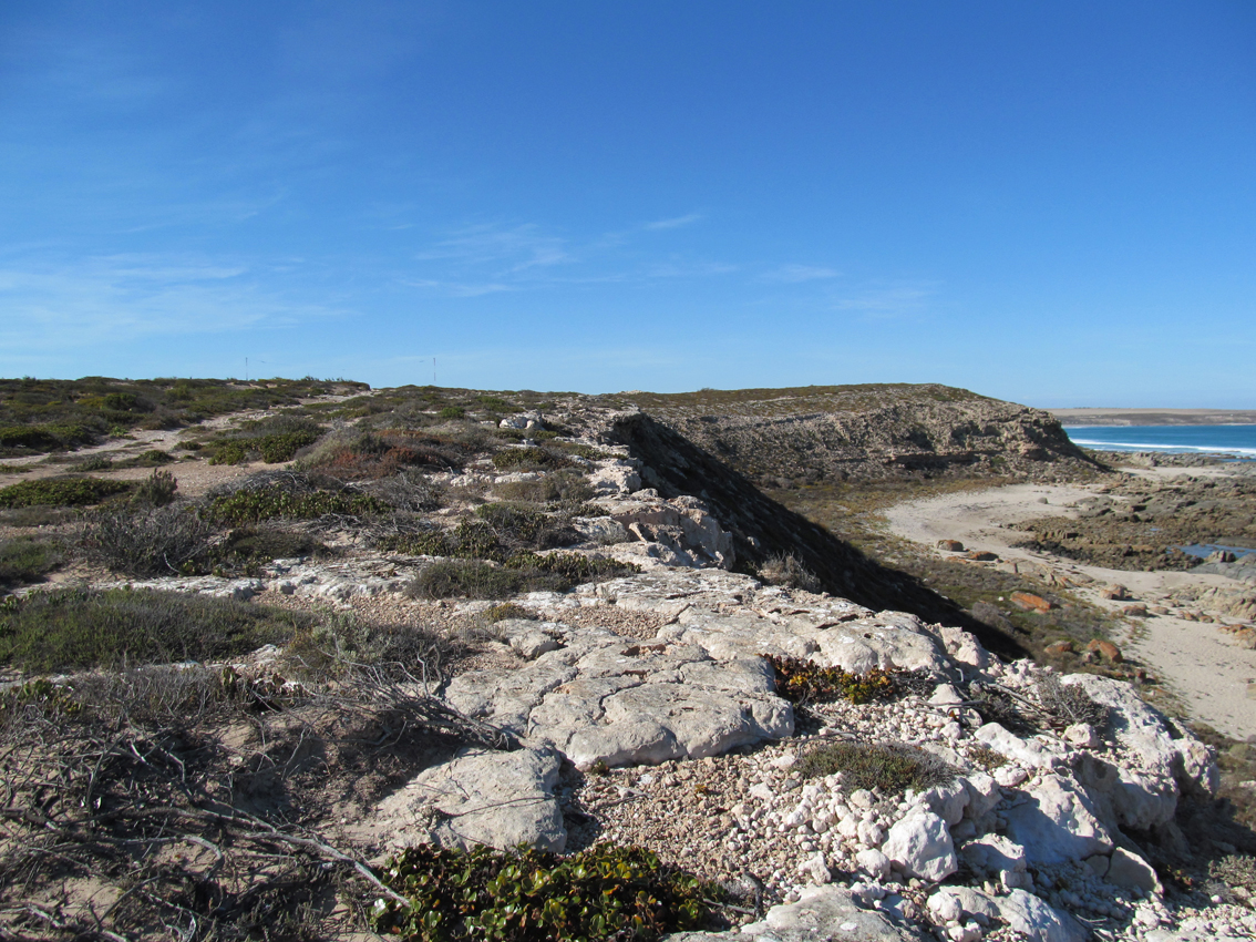 ABRS - Checklist References - Lichens of Australia and its Island ...