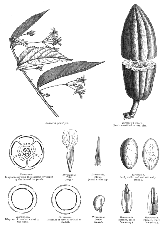 Illustrations . sterc284.gif sterc285.gif sterc360.gif