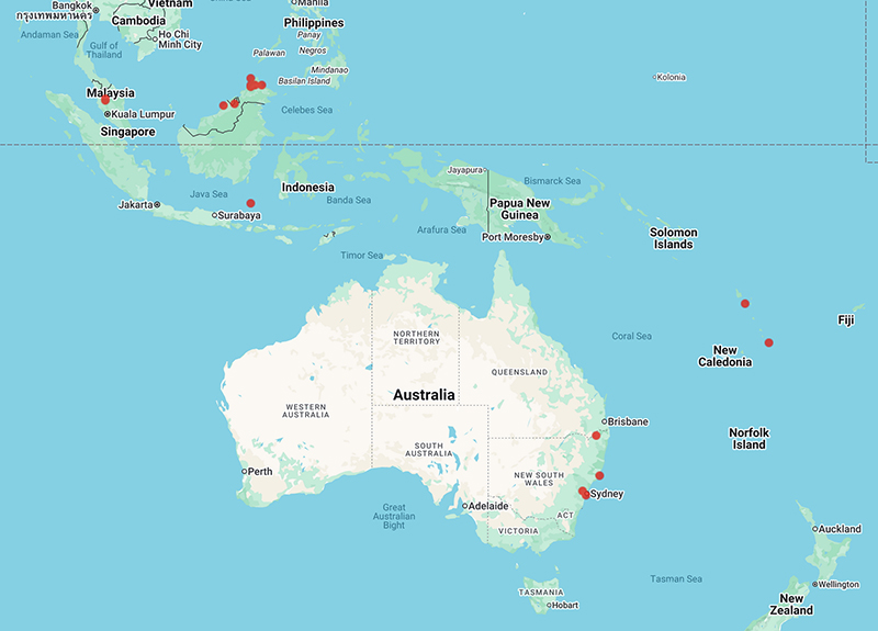 Chew, Wee-Lek - biography