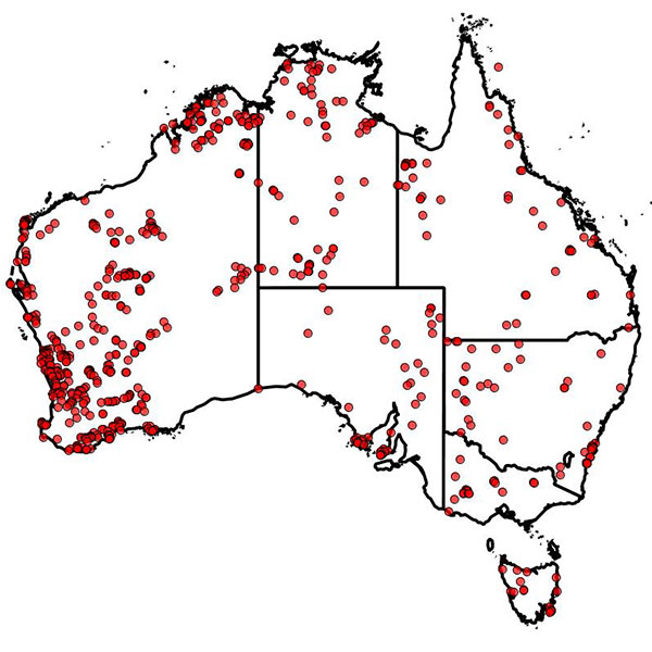 Hancock, Mary Constance - biography