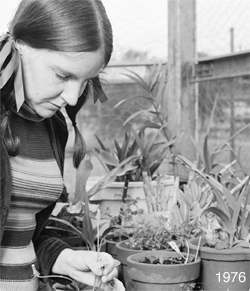 Perry, Gillian - biography